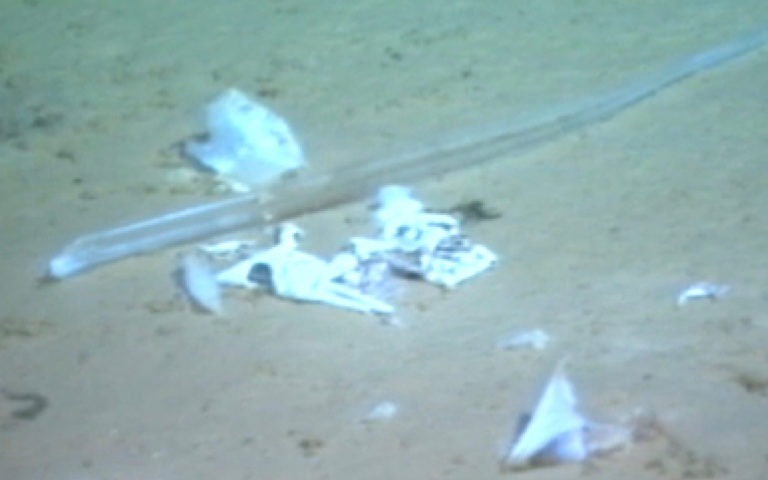 World S Deepest Plastic Bag Found At Bottom Of Mariana Trench